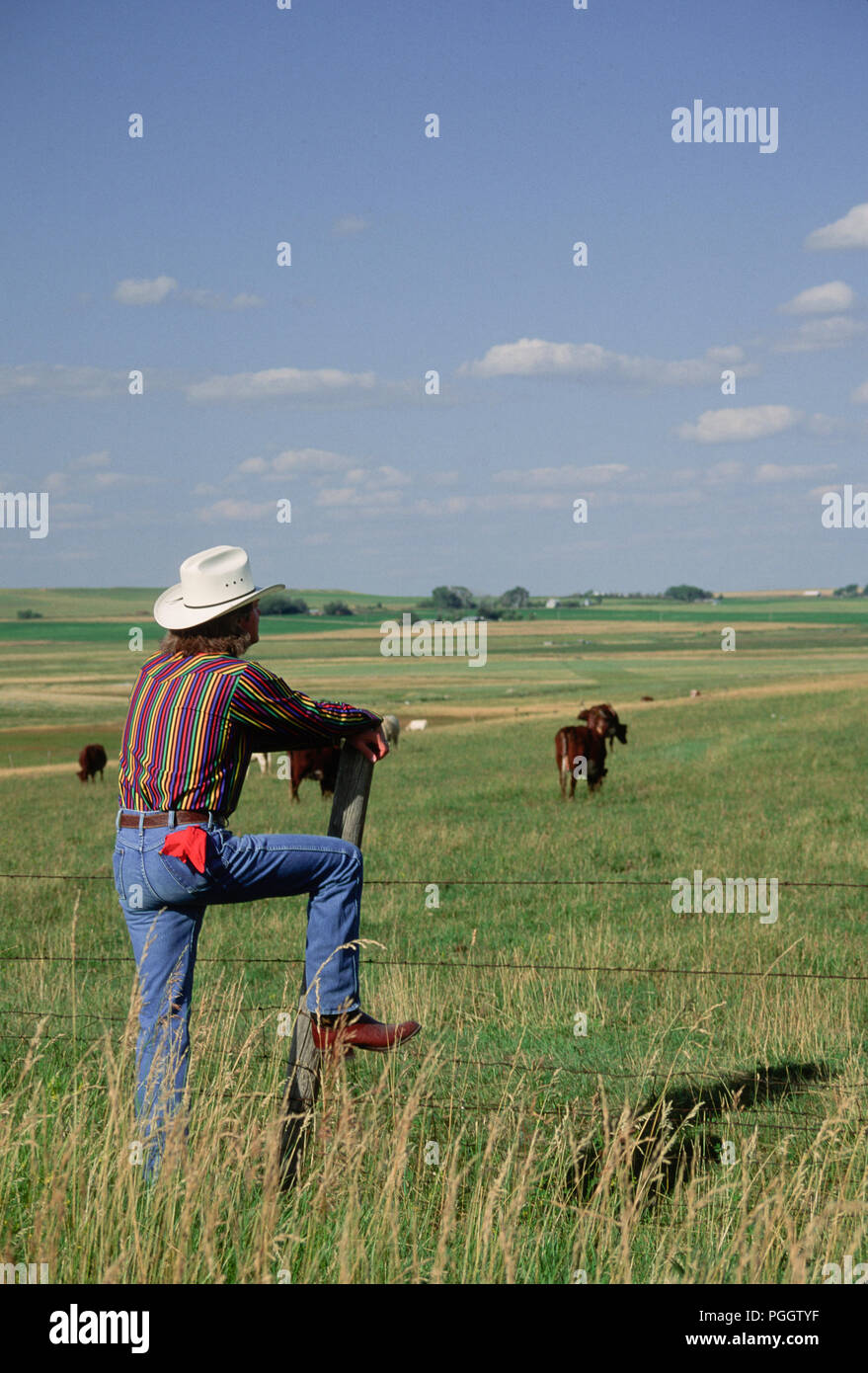 American field and wire hi-res stock photography and images - Alamy