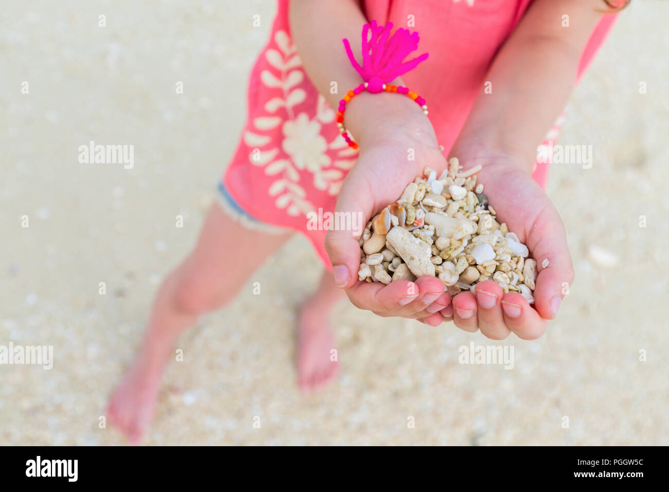 Holding sea shells hi-res stock photography and images - Alamy