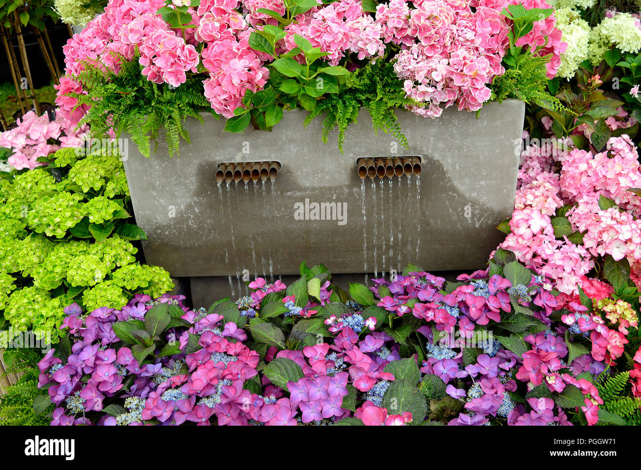 Colouring flowers water hi-res stock photography and images - Alamy