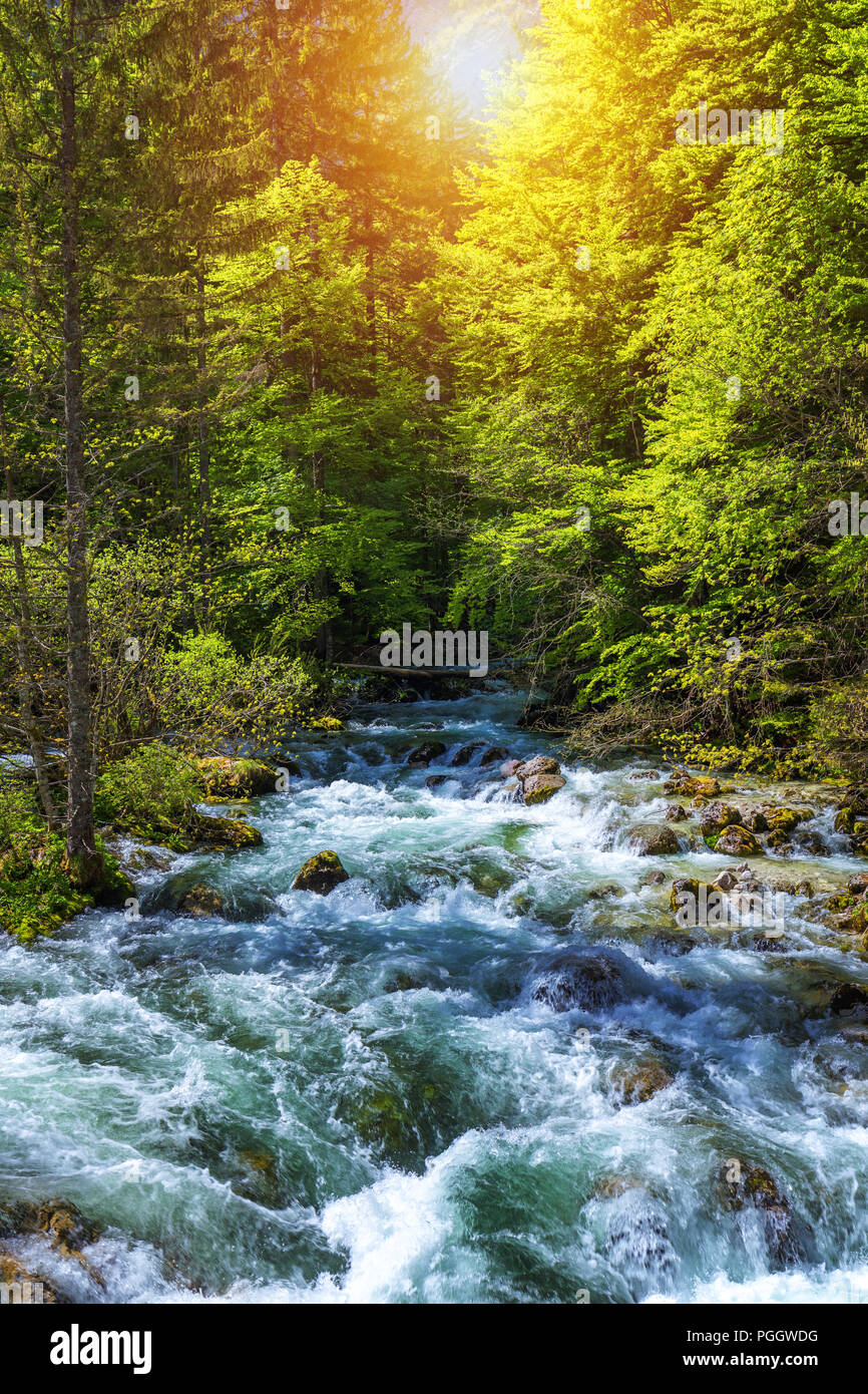 Beautiful colorful summer landscape with a stream and forest. The river ...