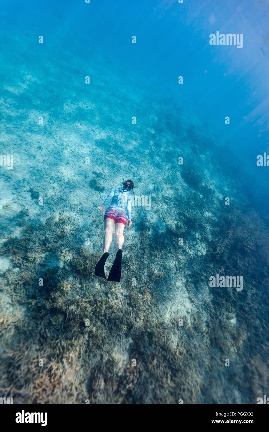 Young woman snorkeling at coral reef hi-res stock photography and ...