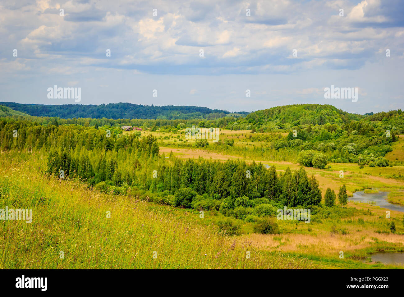 Russia's expanses, Summer landscapes. Open fields and rivers. Pskov ...