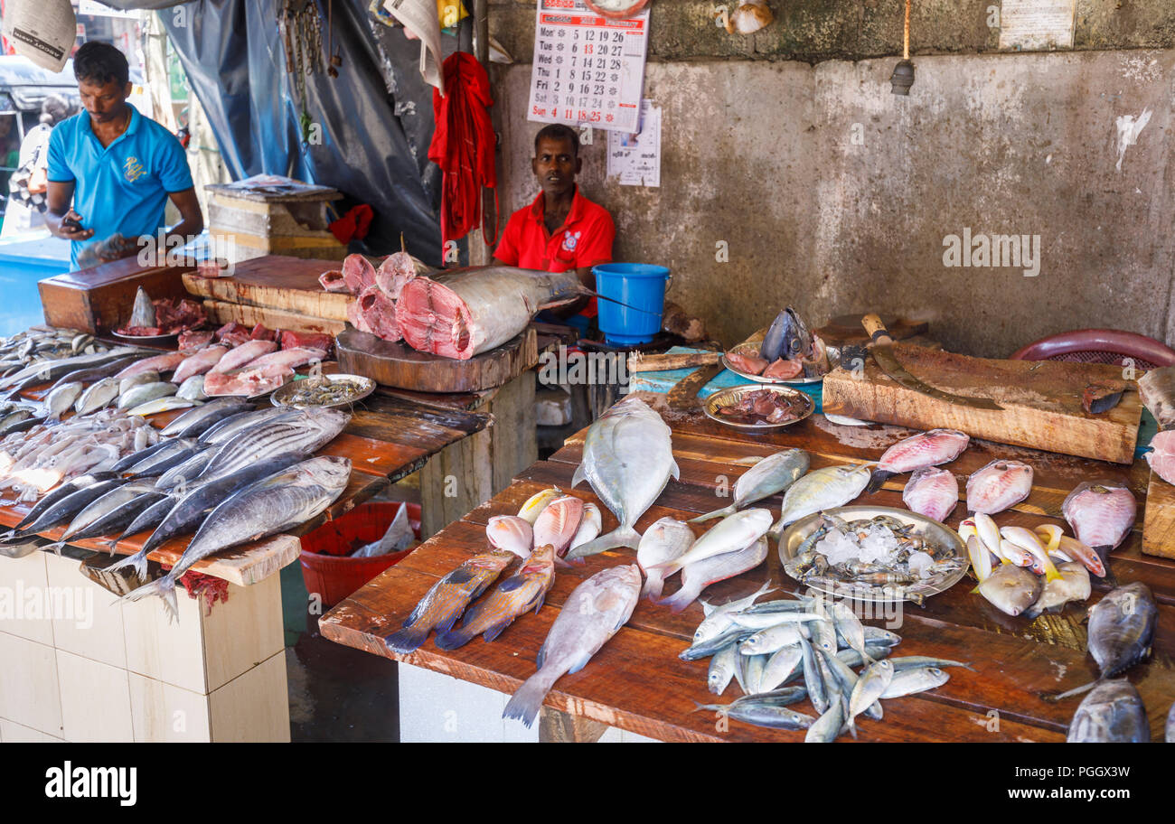 Fish stall with freshly caught seafood at the local Saturday coastal ...