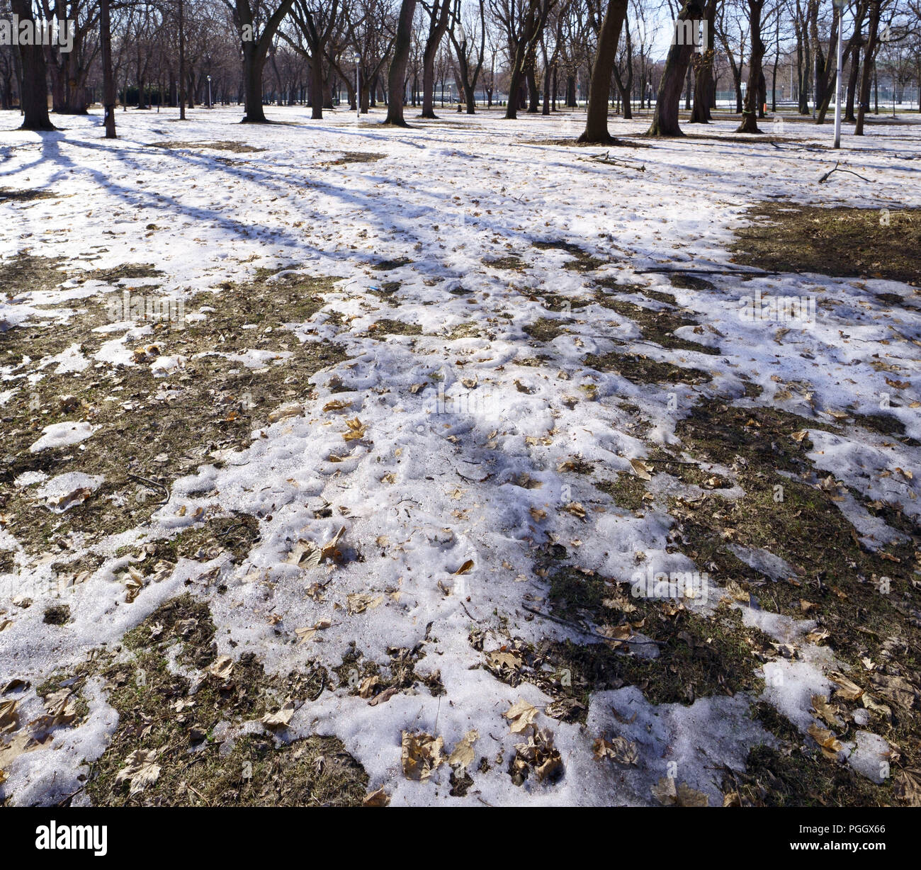 Snow is melting after the first autumnal snowfall Stock Photo - Alamy