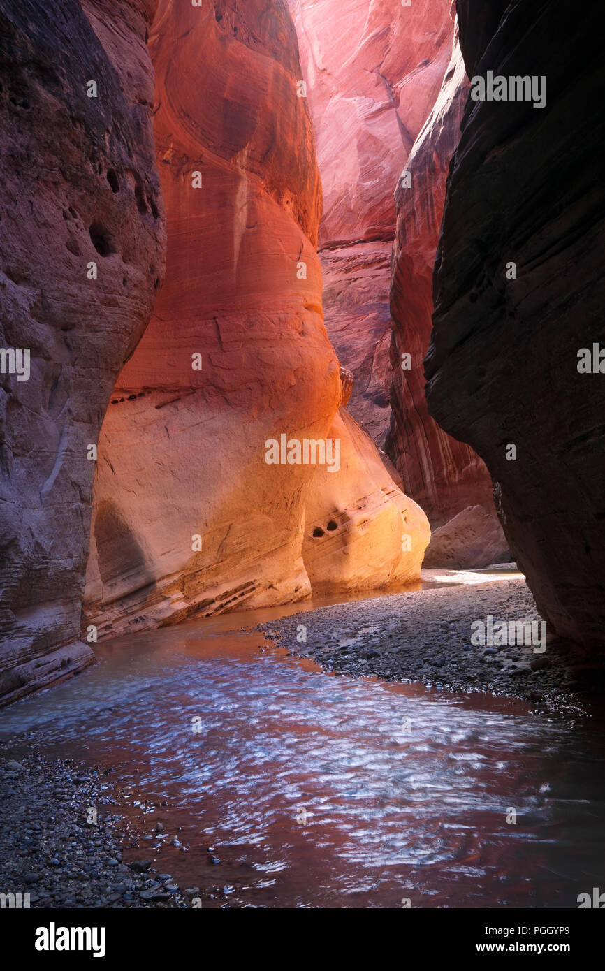 Paria canyons wilderness hi-res stock photography and images - Alamy