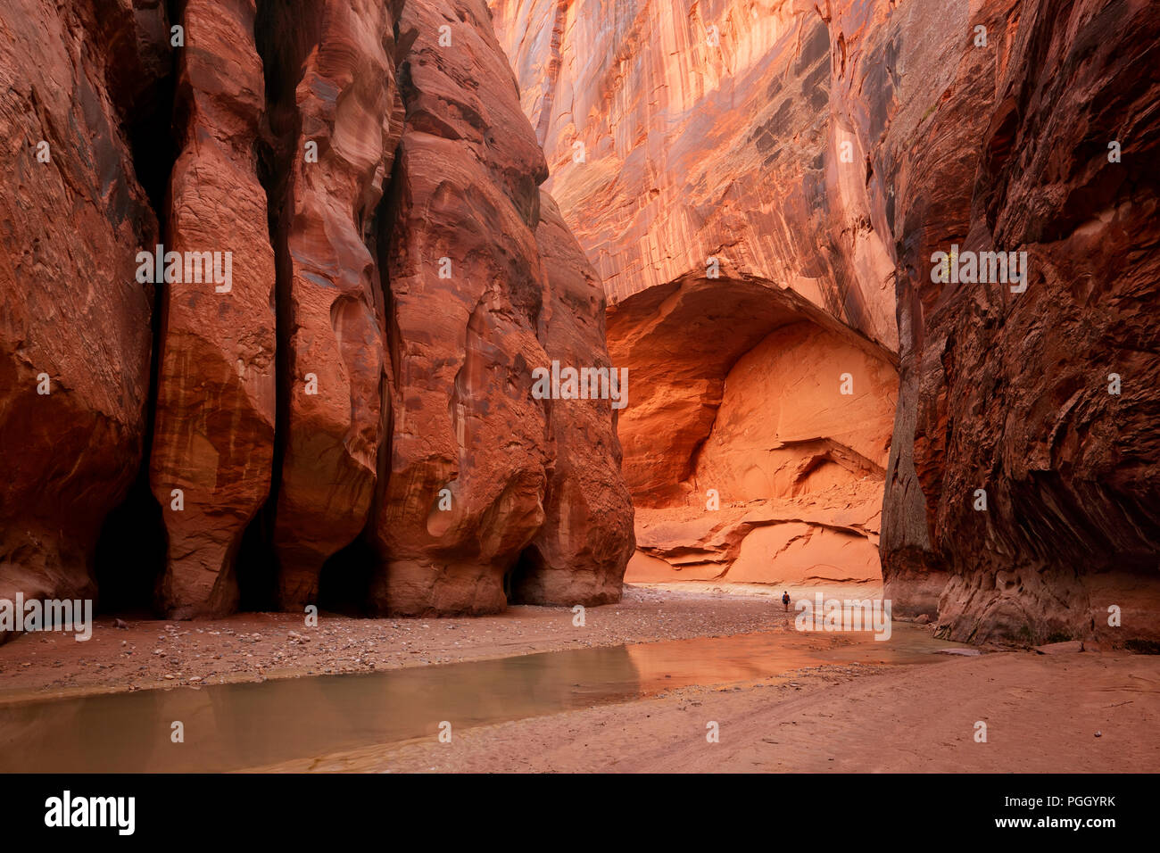 Paria canyon hi-res stock photography and images - Alamy