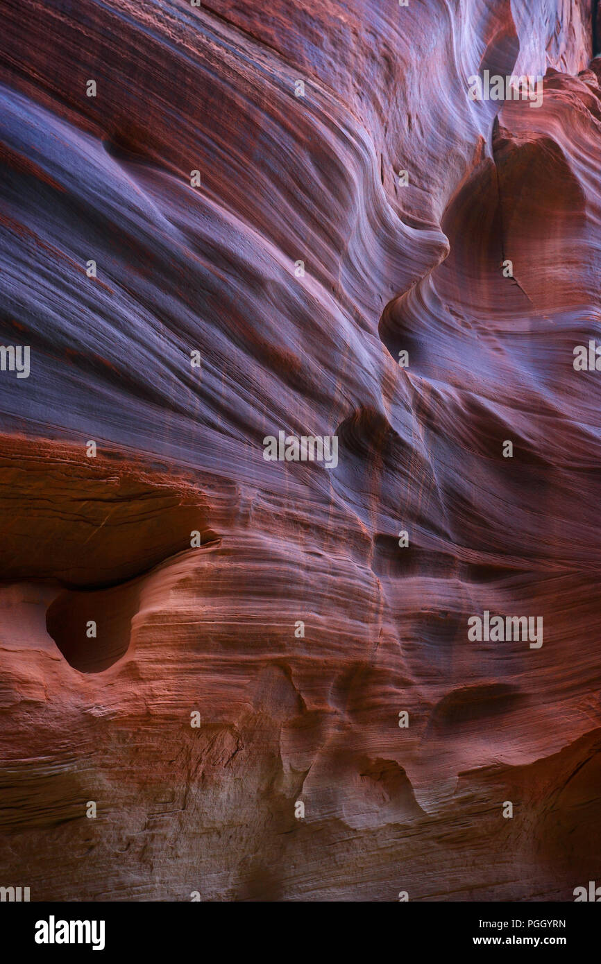 Paria canyon hi-res stock photography and images - Alamy