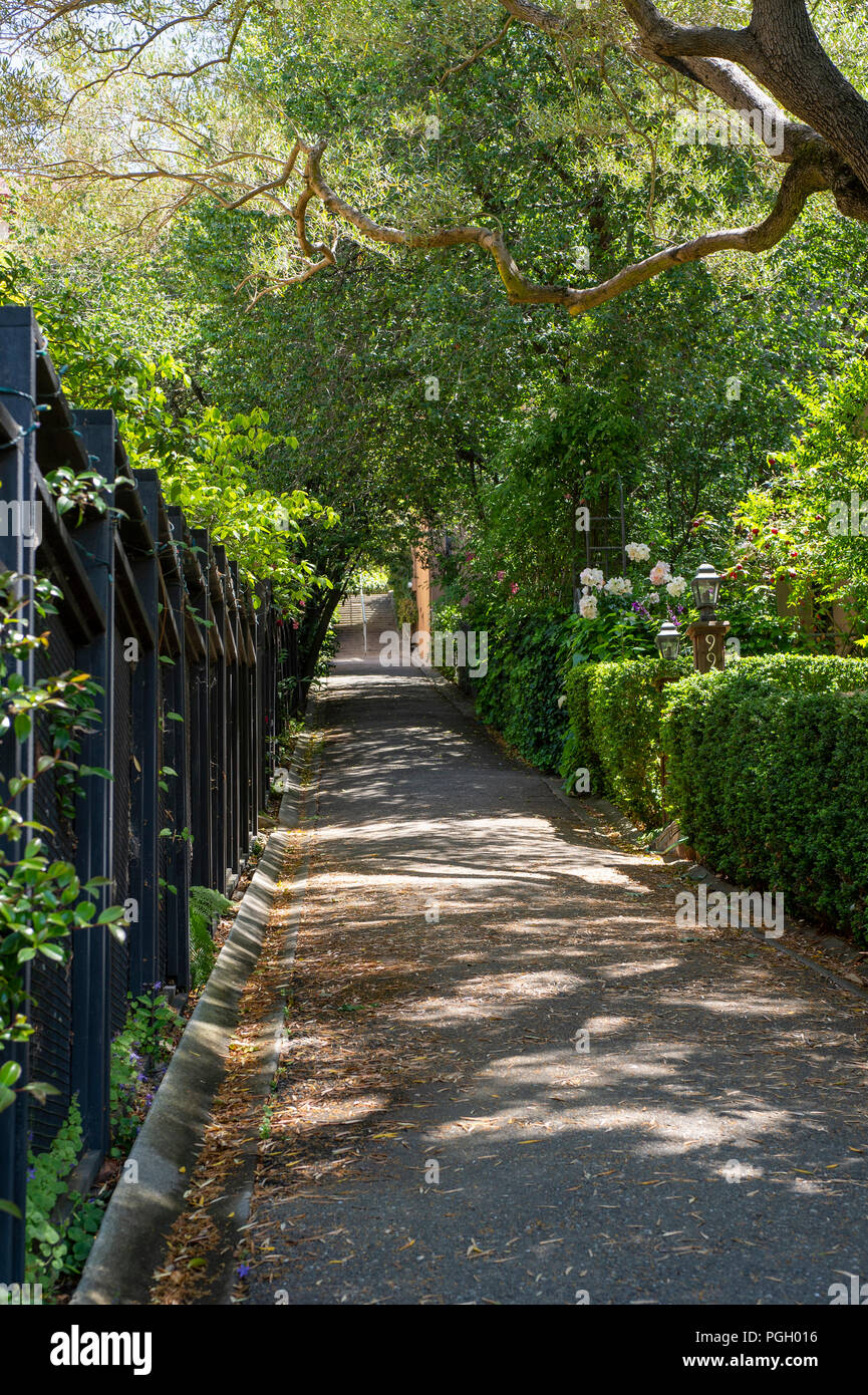 Sun dappled pathways hi-res stock photography and images - Alamy