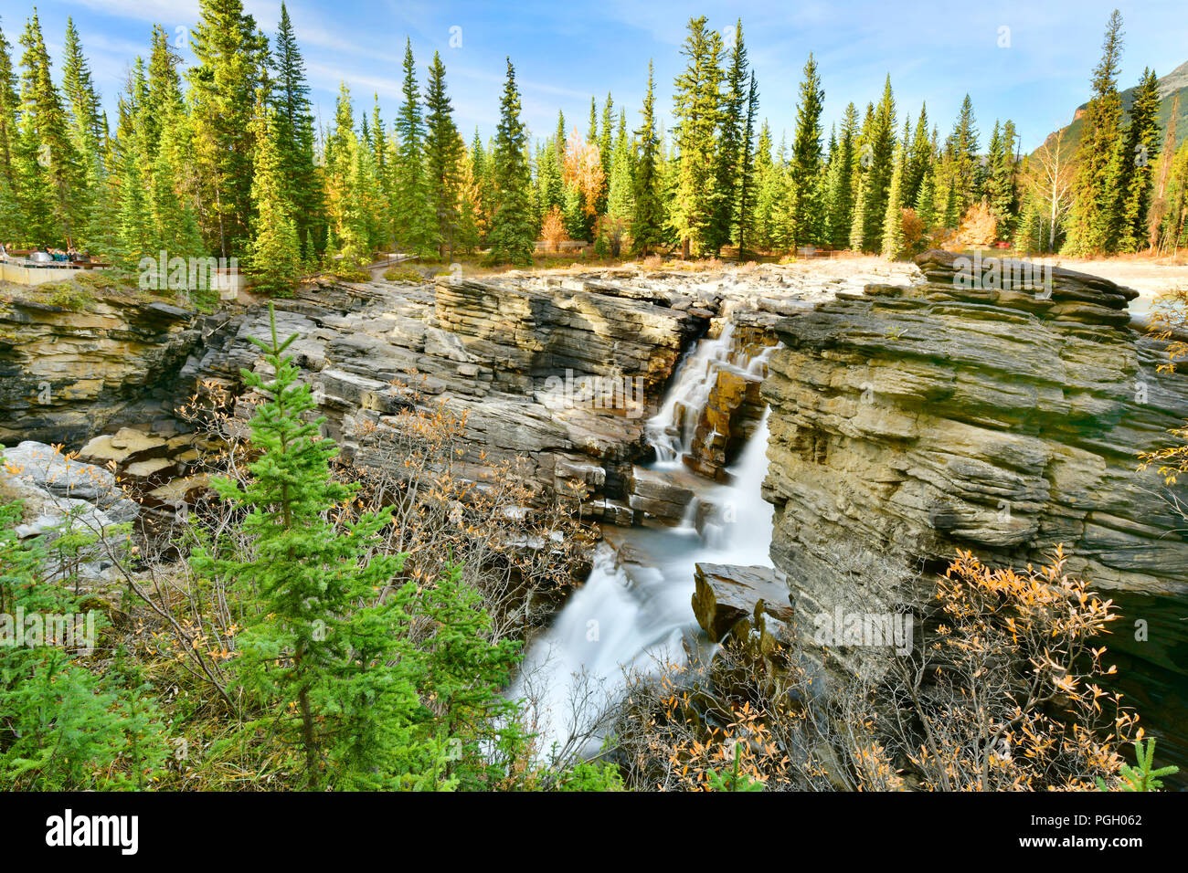 Athabasca Falls in autumn, Jasper National Park, Alberta, Canada Stock ...