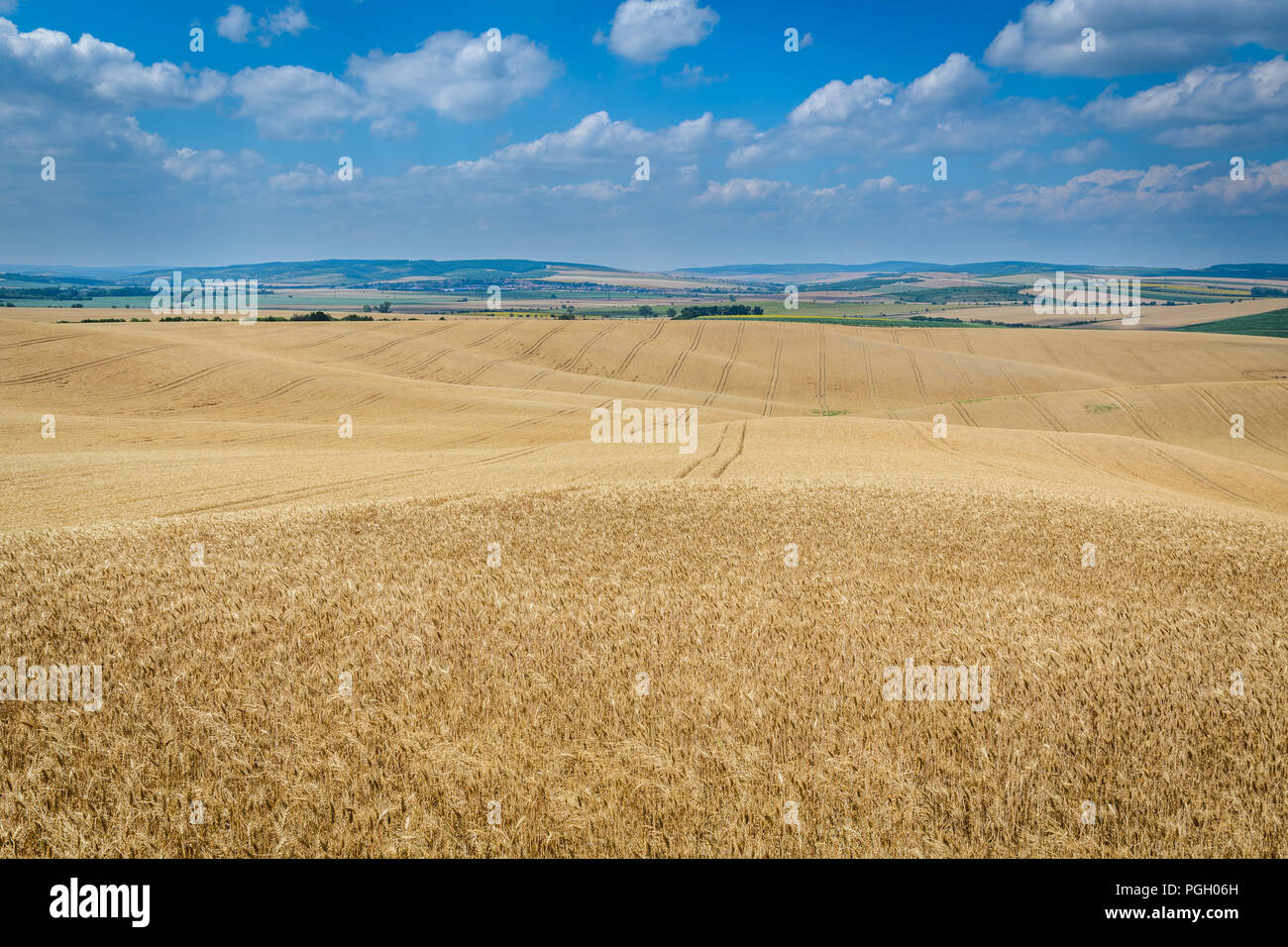 Moravian fields people hi-res stock photography and images - Alamy