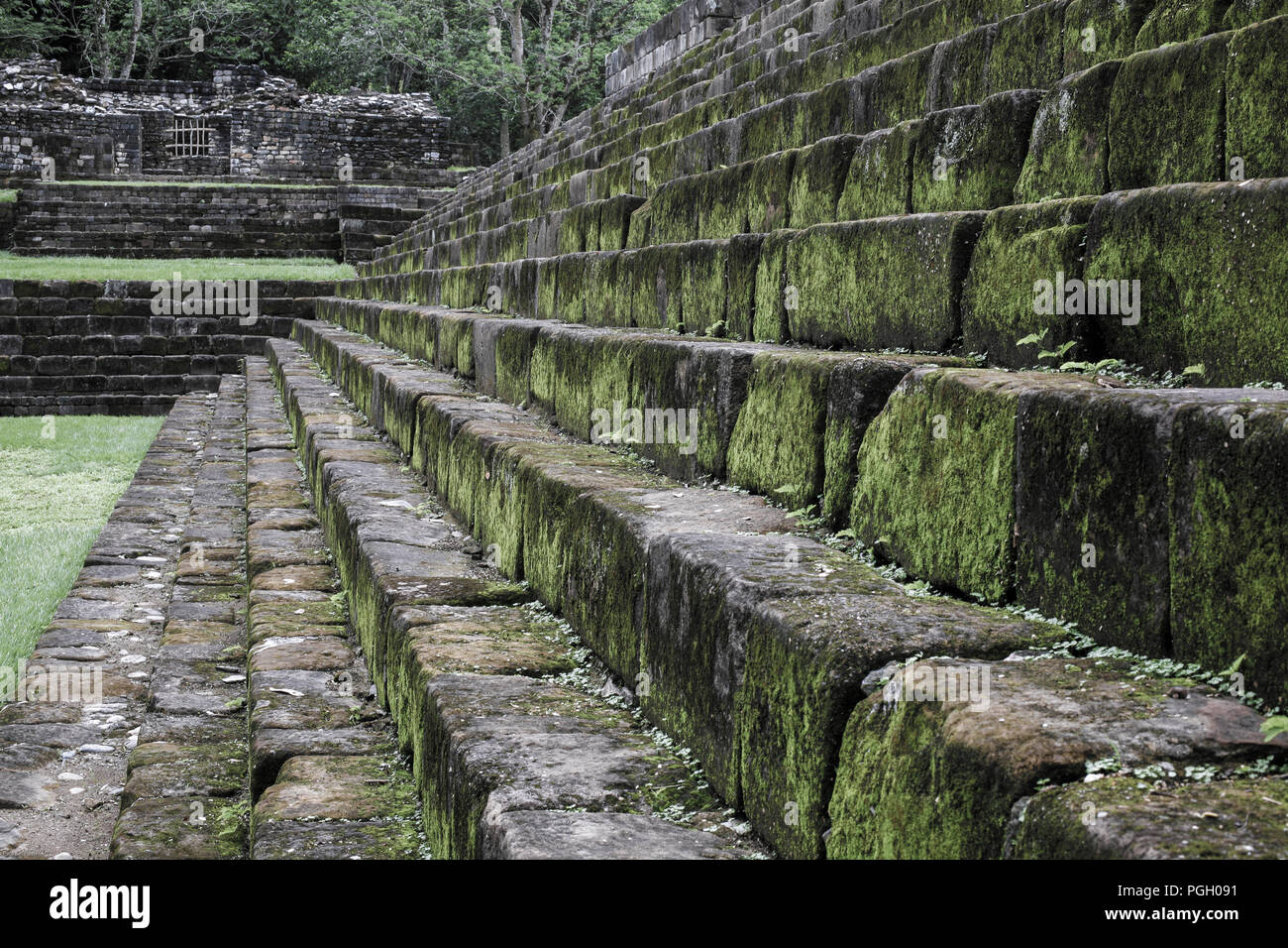 Mayan temple steps in Tikal, Guatemala, Central America Stock Photo - Alamy
