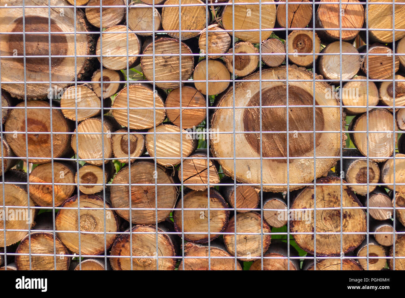 Wood log texture Stock Photo - Alamy