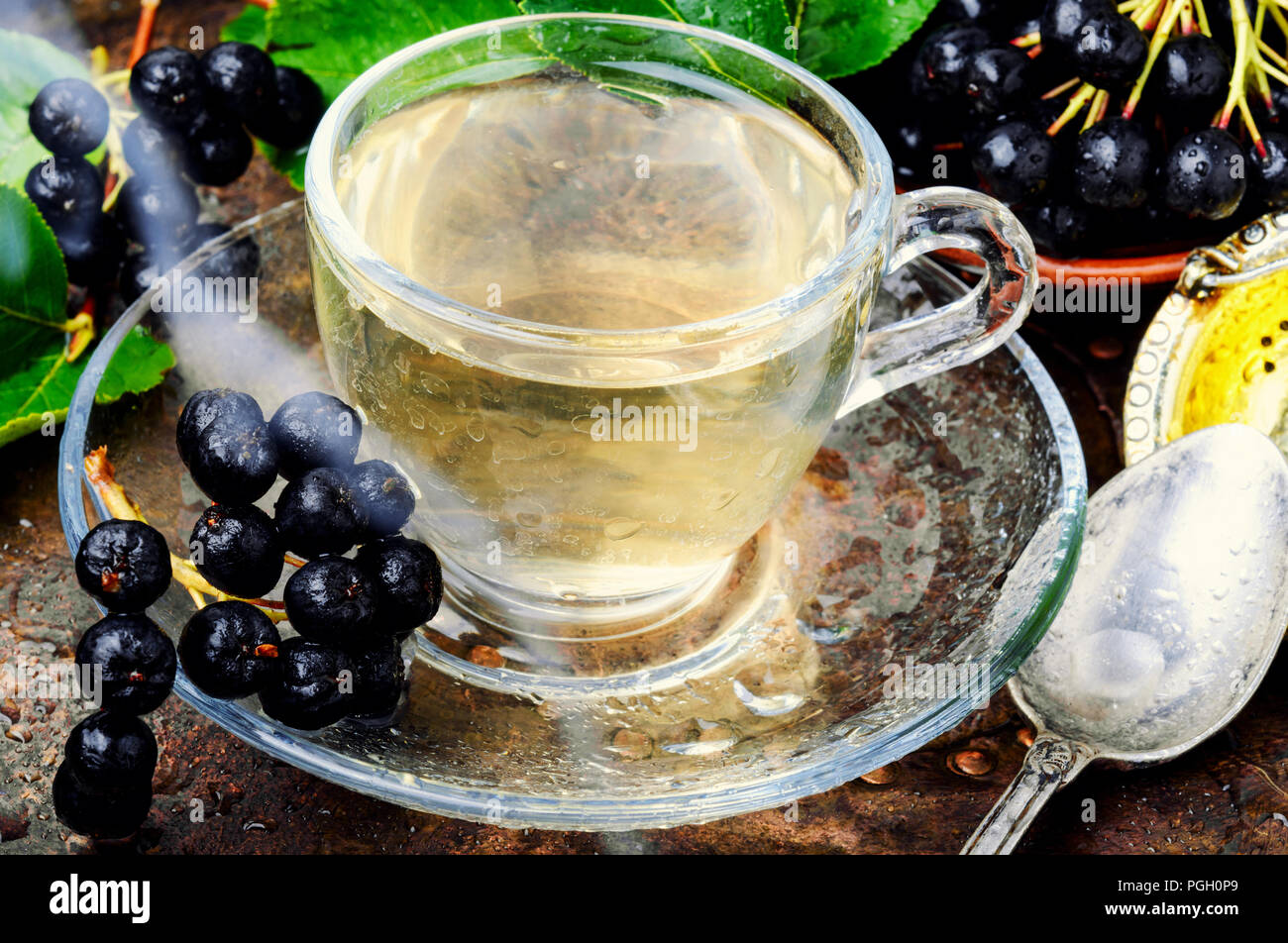 Healing aromatic tea from aronia berries. Folk medicine Stock Photo - Alamy