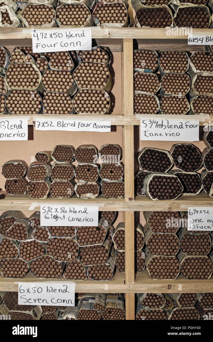 Assorted cigars ready for export at a cigar factory in Esteli ...