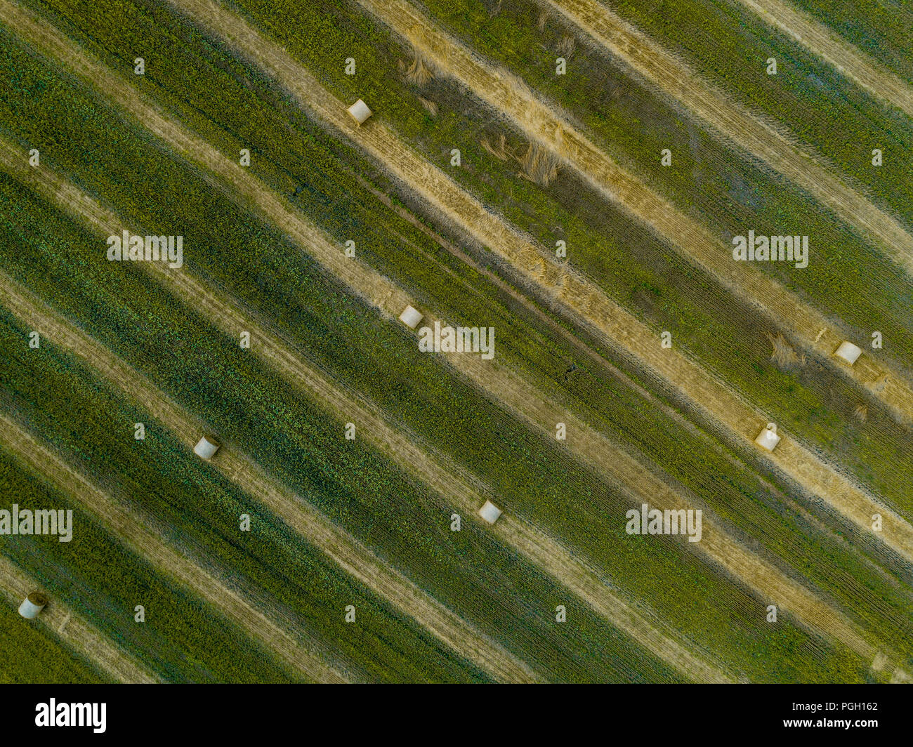 Aerial view of a green field with haystacks Stock Photo - Alamy
