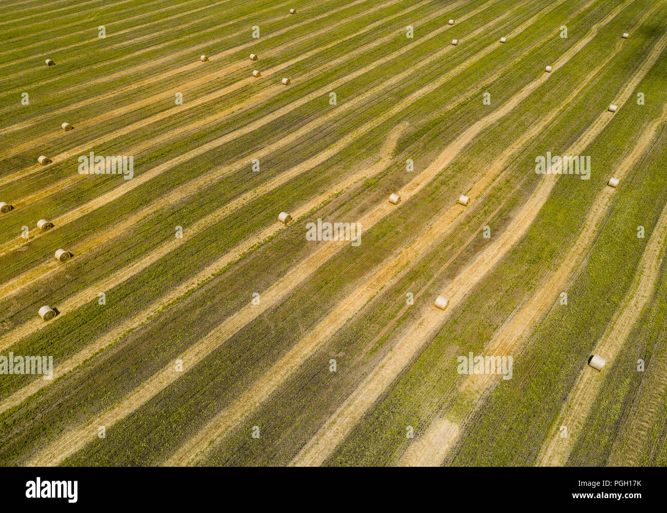 Aerial view of a green field with haystacks Stock Photo - Alamy