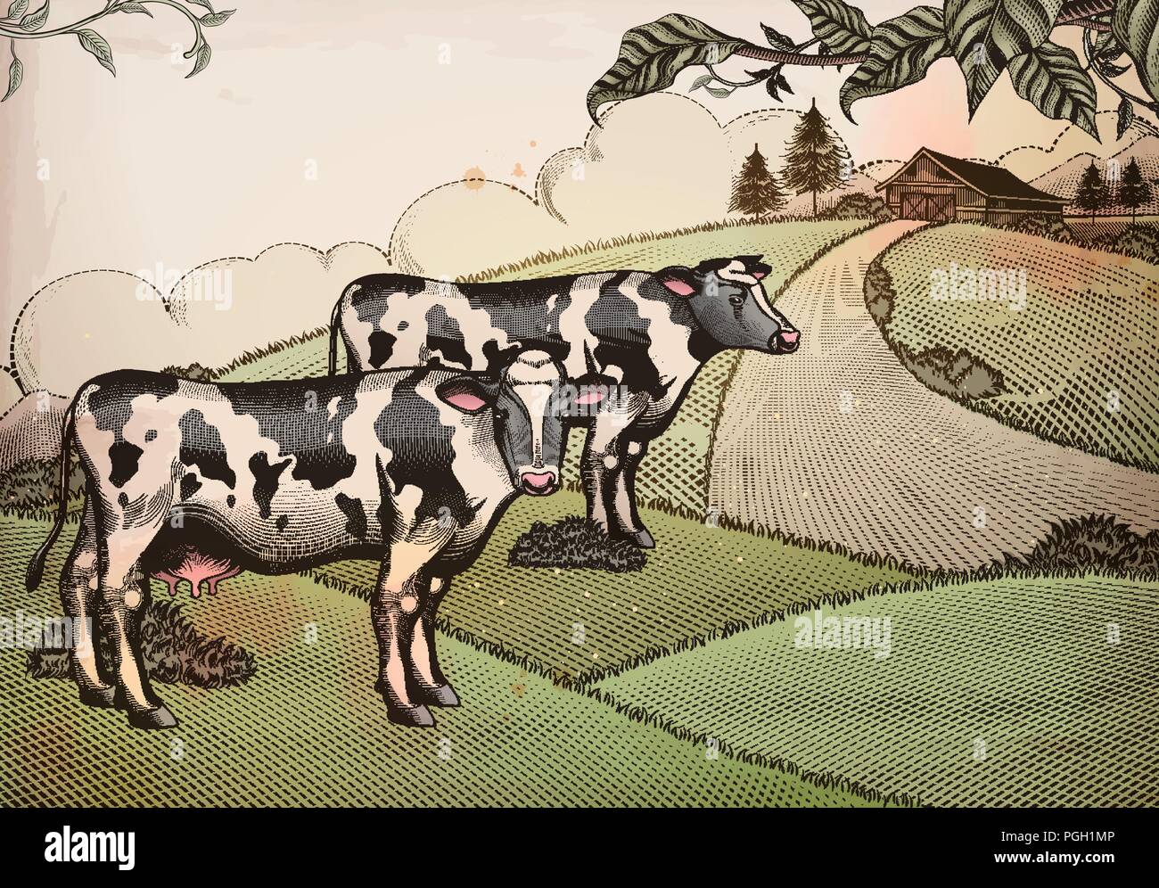 Engraving style dairy cattle and farmland background design Stock ...