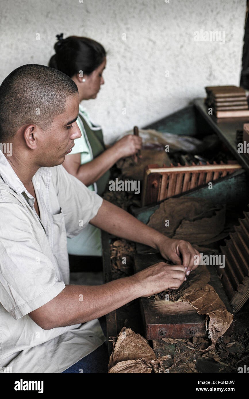 Cigar rolling by hand at factory in Granada, Nicaragua Stock Photo - Alamy