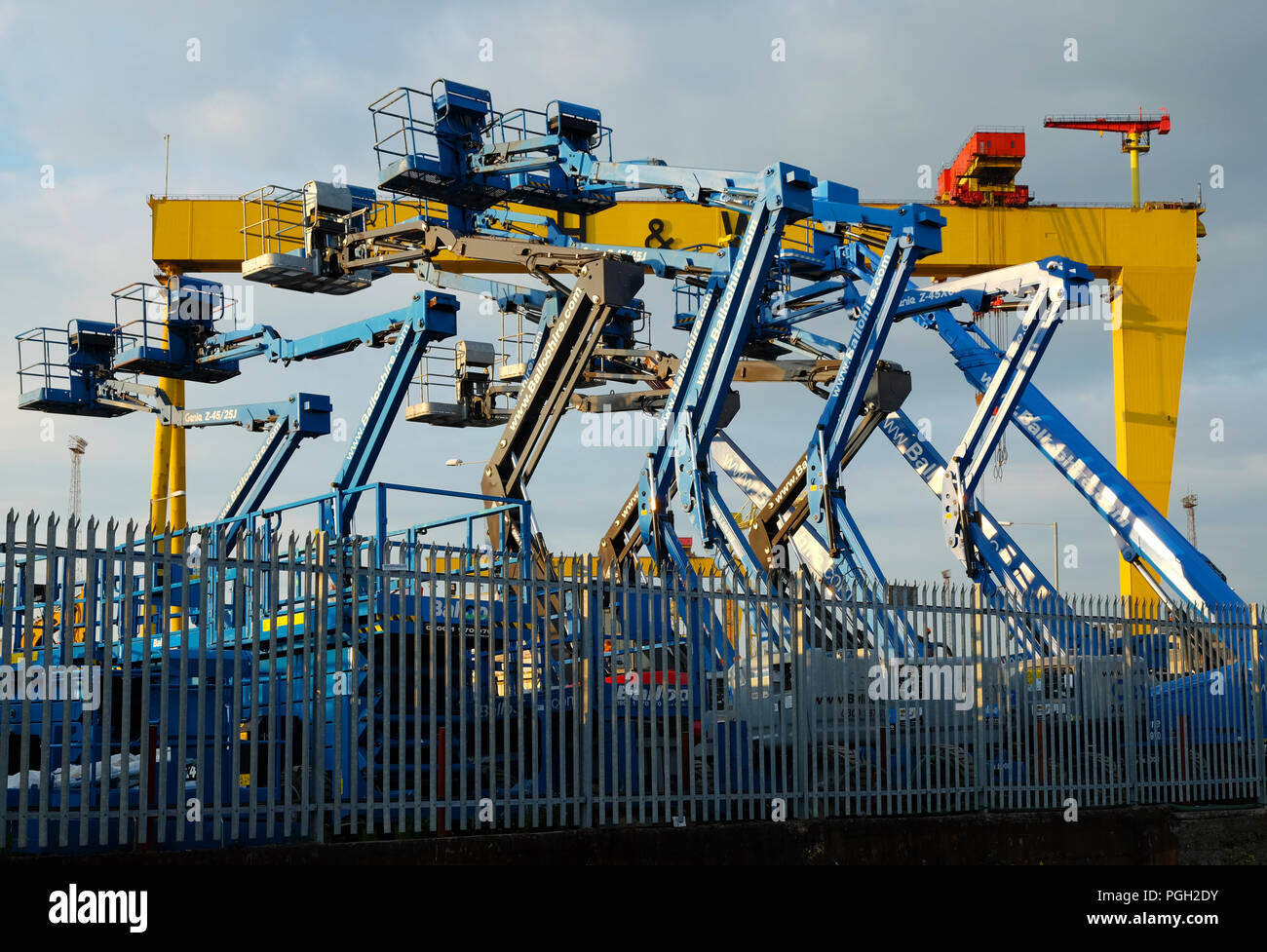 Samson and goliath cranes hi-res stock photography and images - Alamy