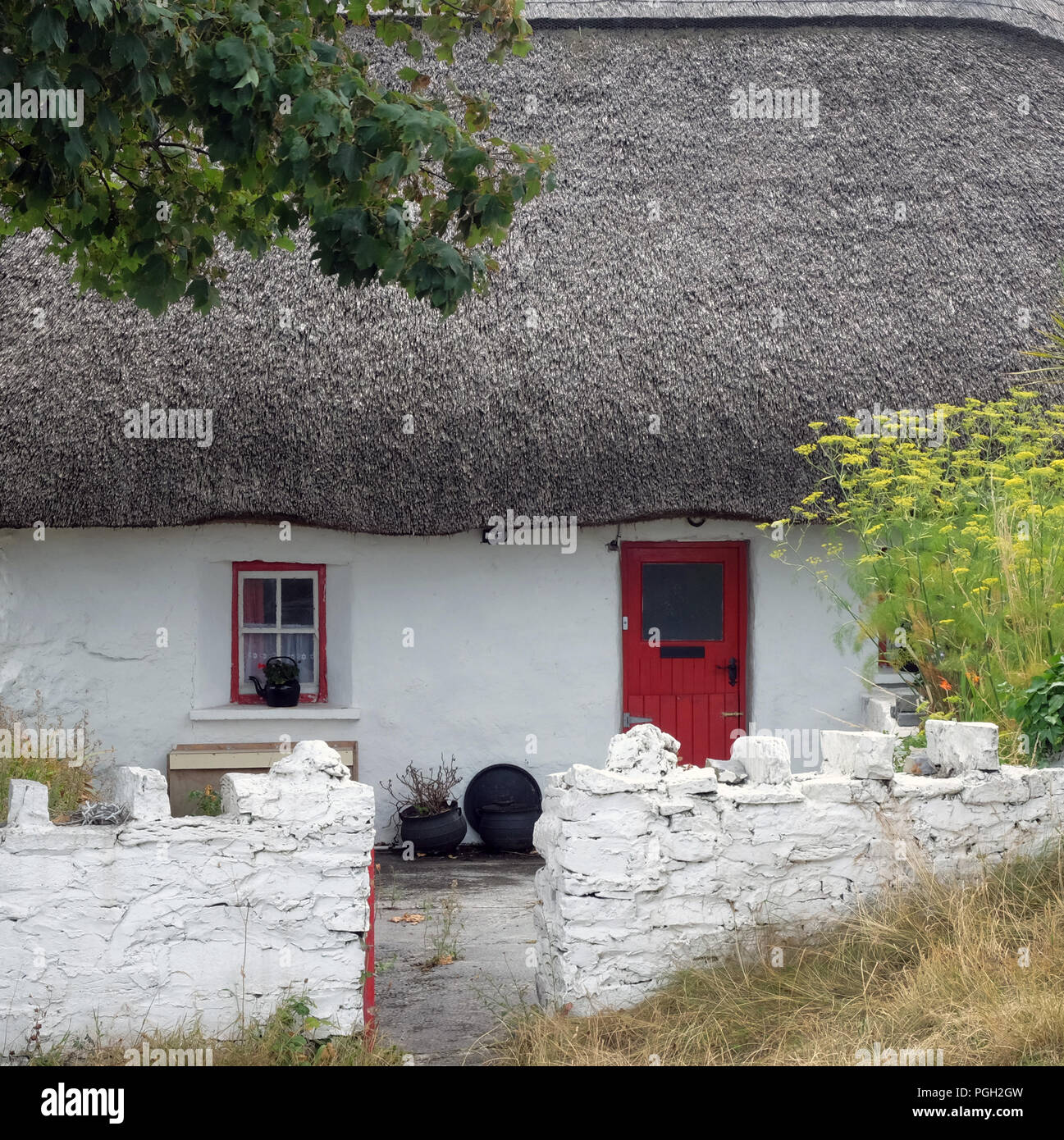 Traditional irish thatched cottage hi-res stock photography and images ...