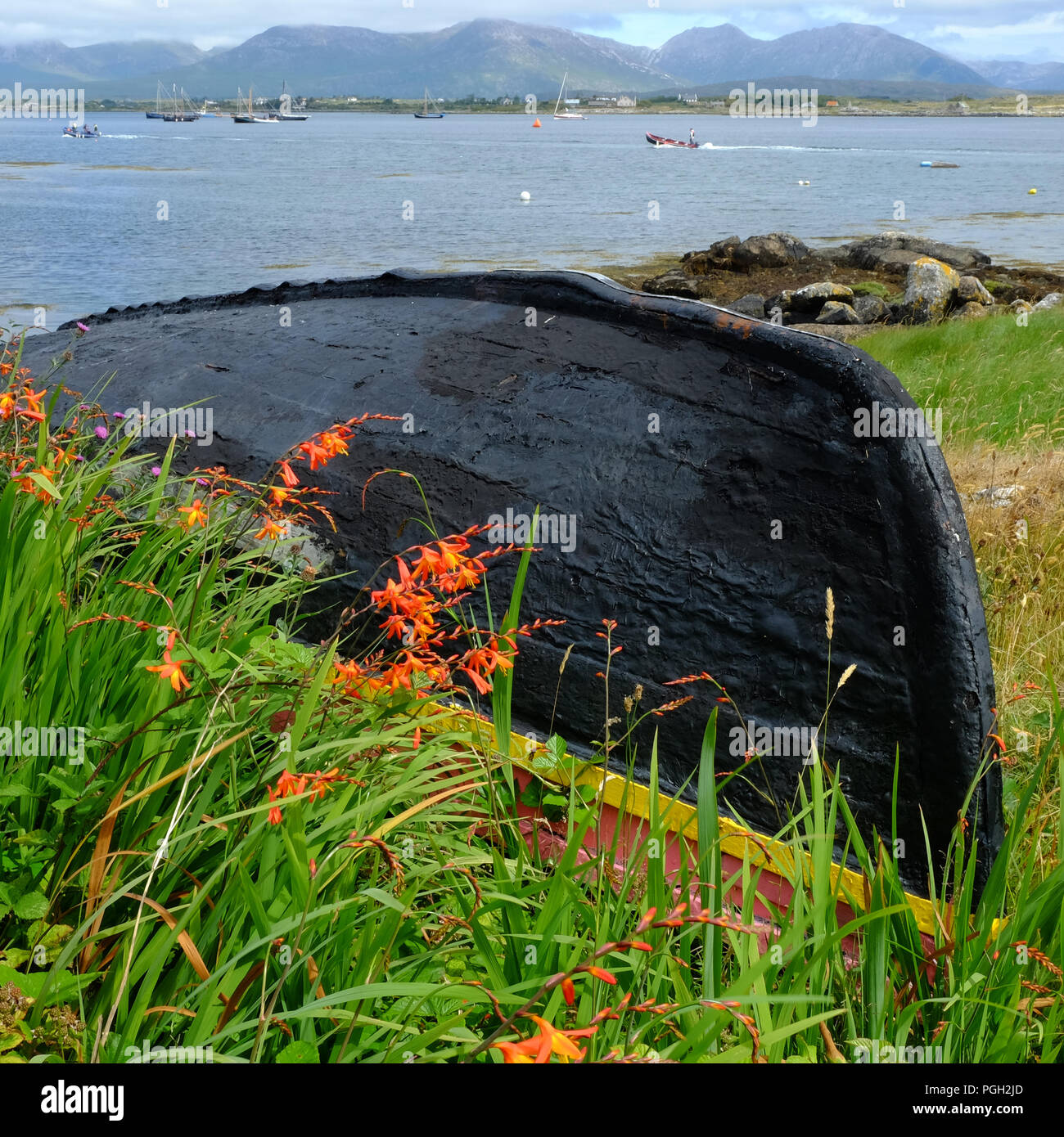 Irish currach boat hi-res stock photography and images - Alamy