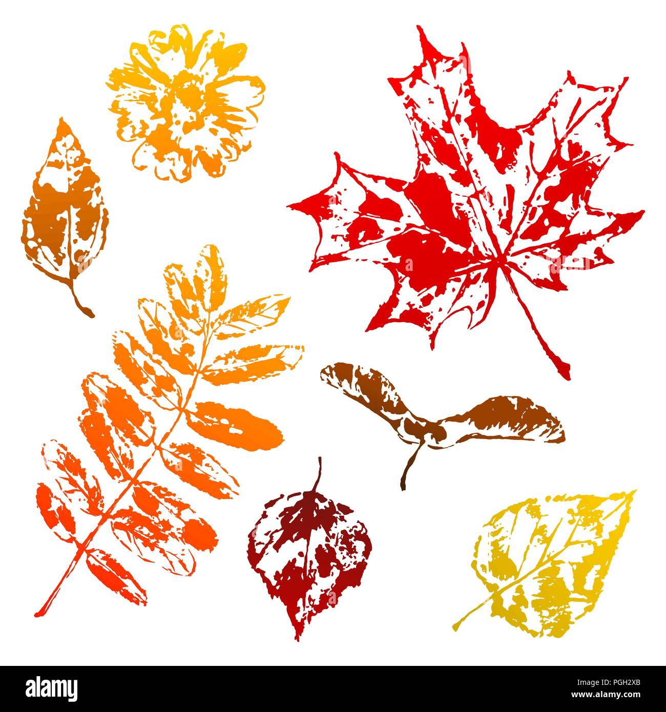 Set of printed leaves Stock Vector Image & Art - Alamy