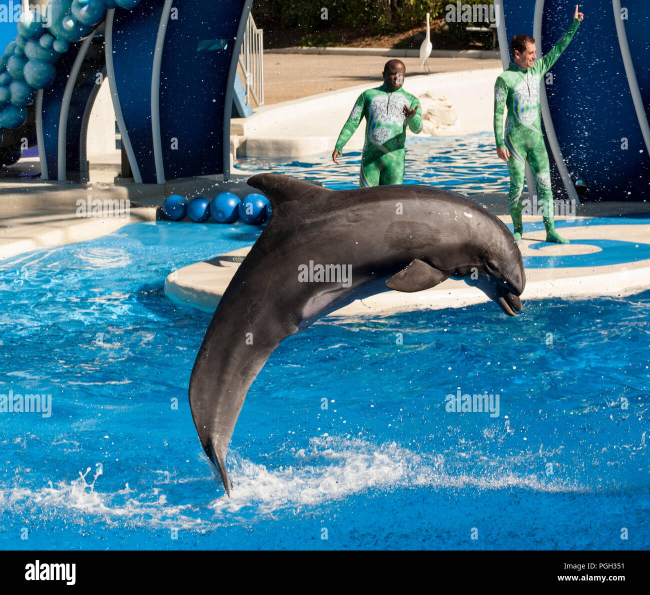 Sea world theme park hi-res stock photography and images - Alamy