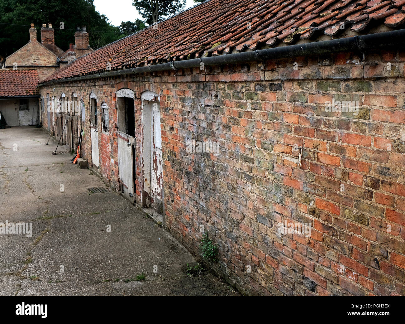 Stable environment hi-res stock photography and images - Alamy