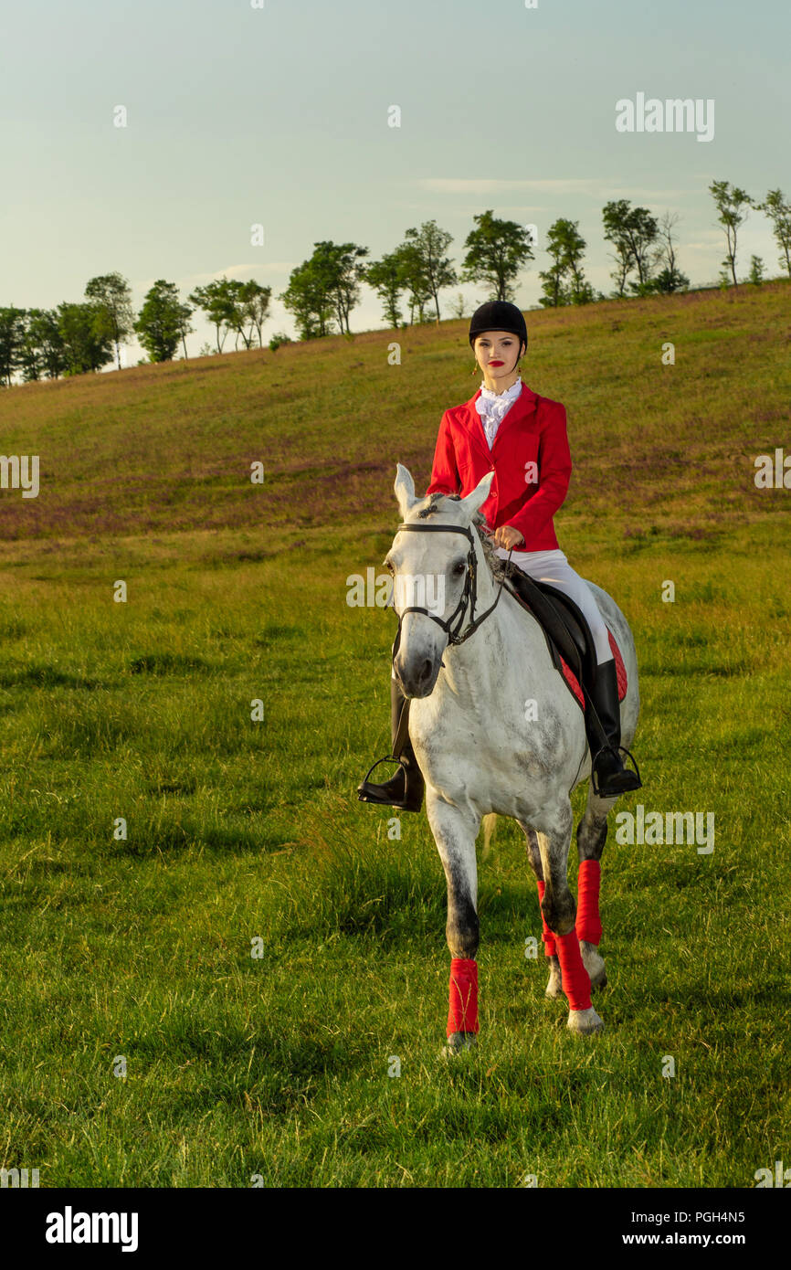 Young woman rider, wearing red redingote and white breeches, with her ...