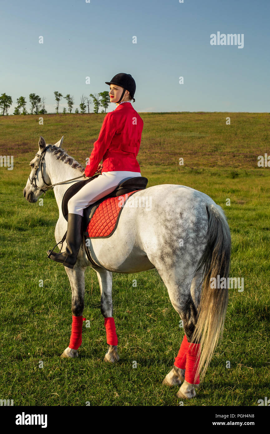 Young woman rider, wearing red redingote and white breeches, with her ...