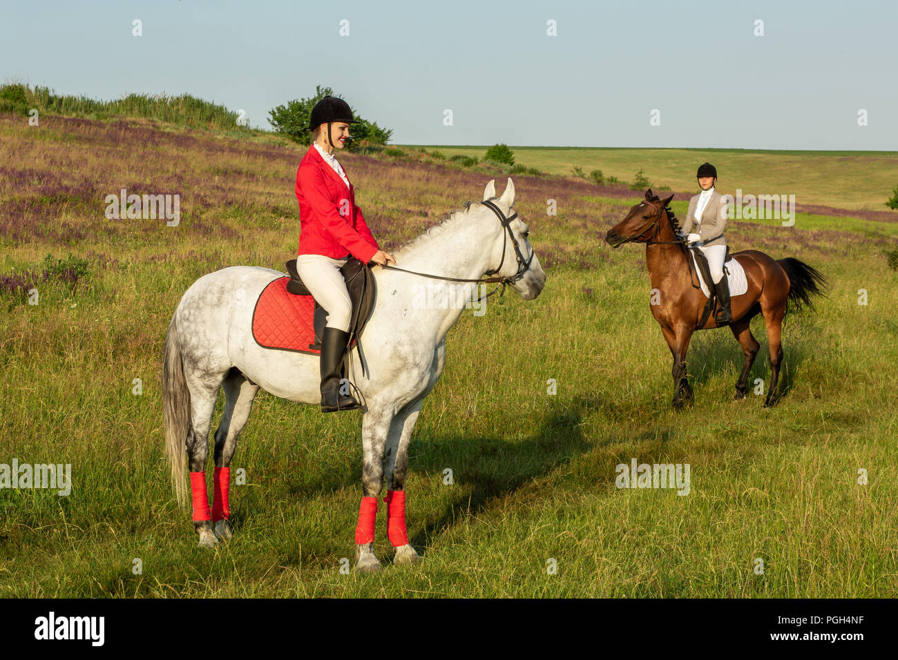 Horseback riders. Two attractive women ride horses on a green meadow ...