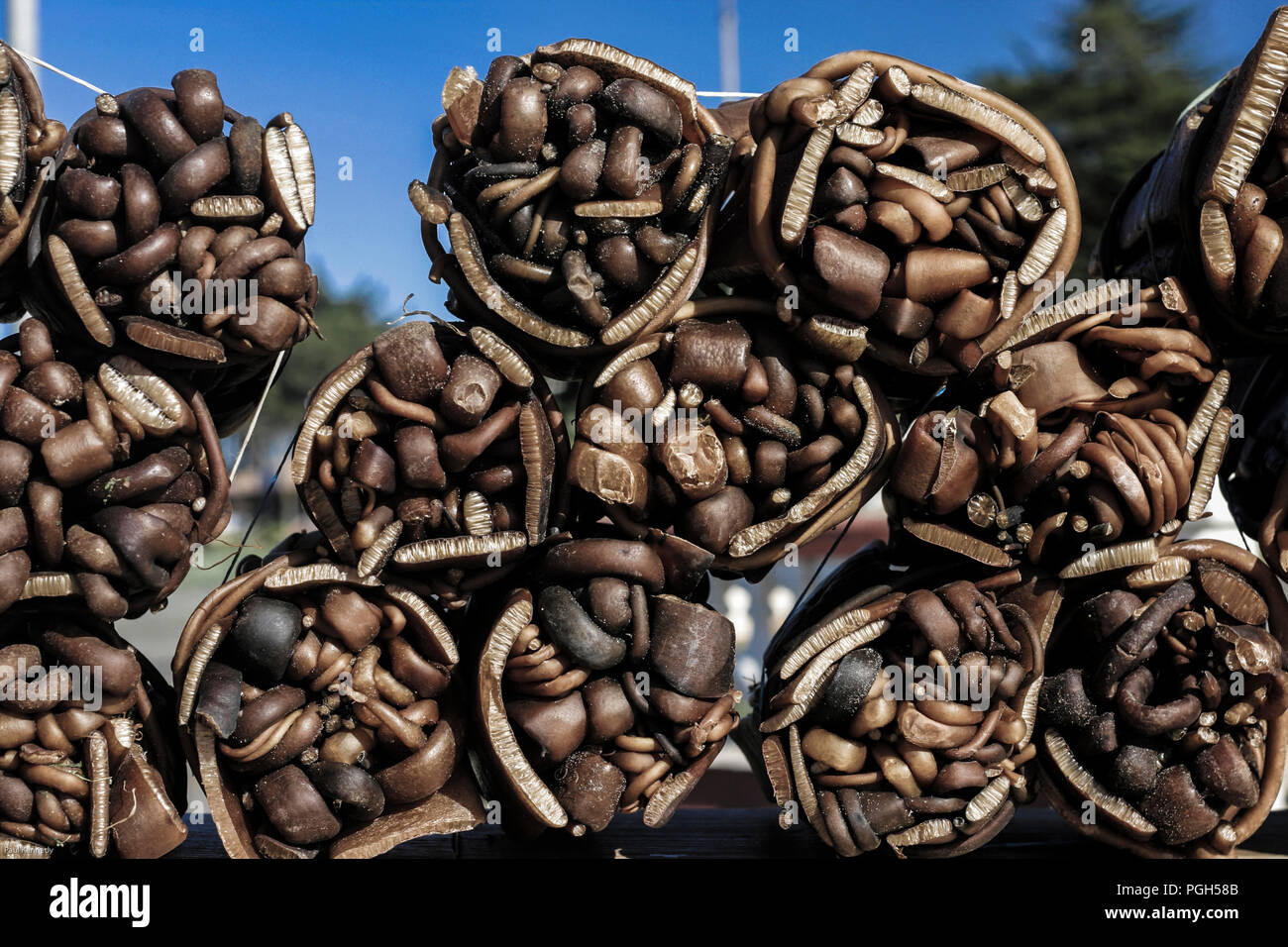 Dry bundles of bull kelp (cochayuyo) for sale in Cobquecura, Chile ...
