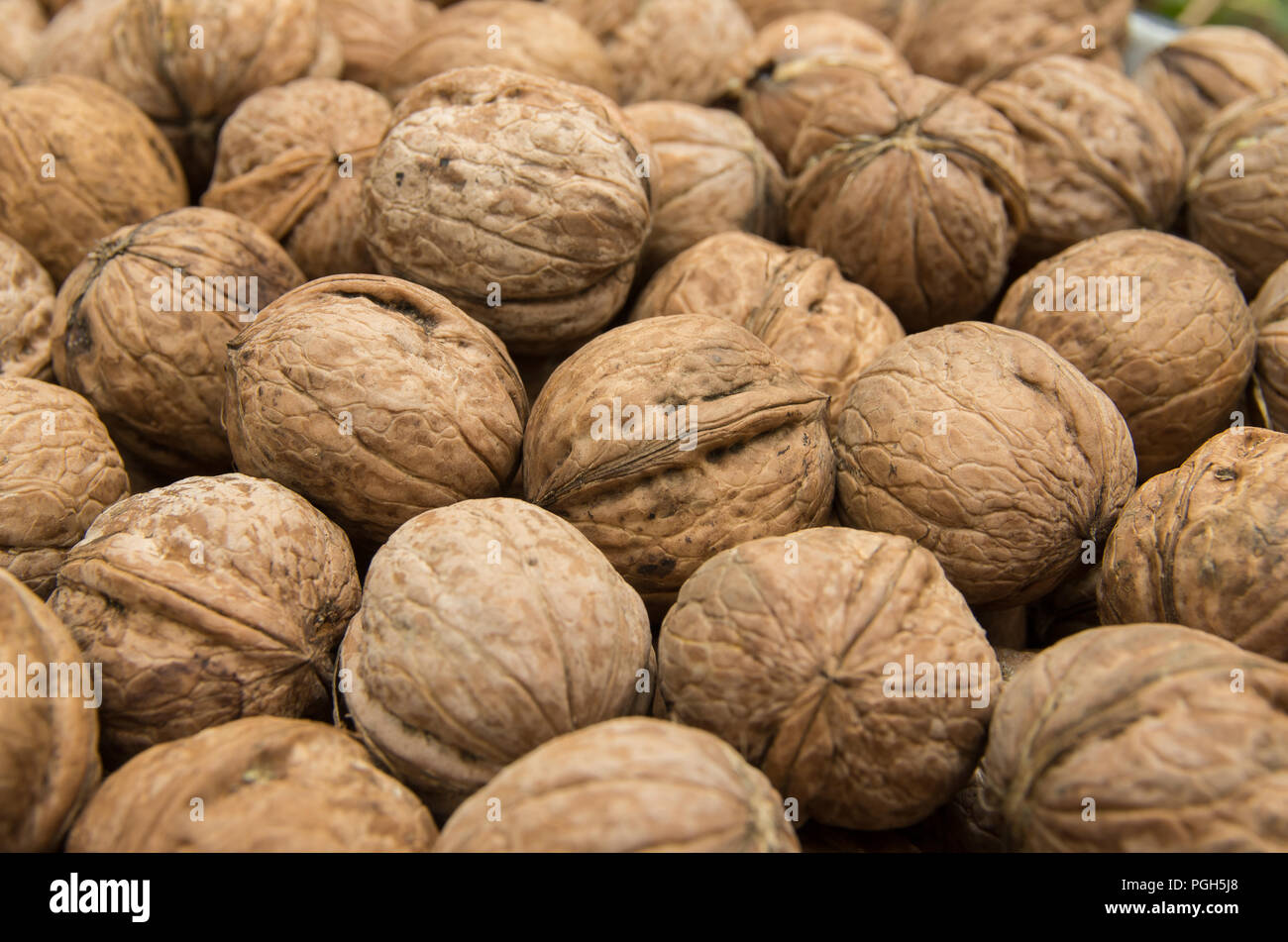 Natural walnut in shell Stock Photo - Alamy