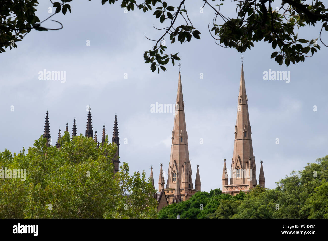 The spires of St Mary's Cathedral seen from Hyde Park in Sydney ...