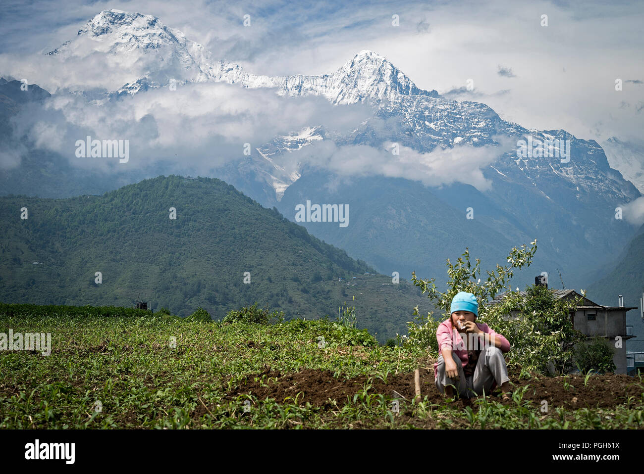 Farming in nepal hi-res stock photography and images - Alamy