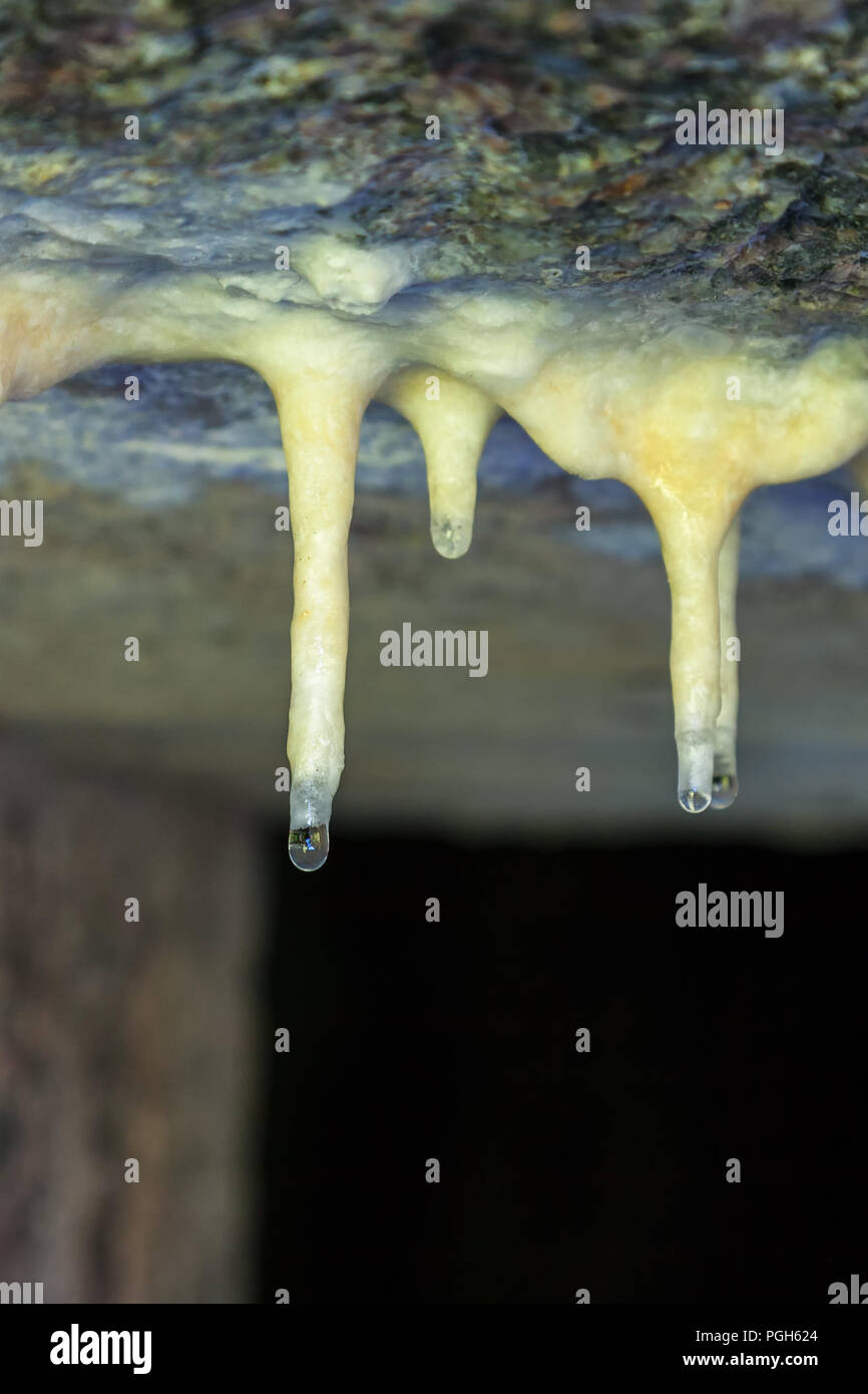 Stalactites in the roof with water drops Stock Photo - Alamy