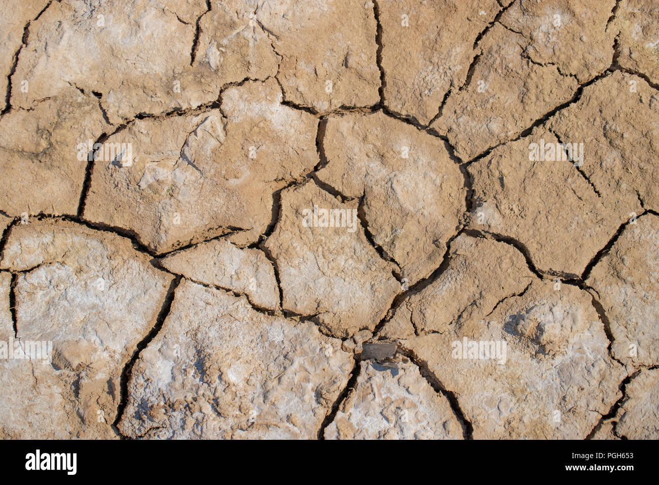 Surface of the dried earth covered with salt. Ecology concept of wasted ...