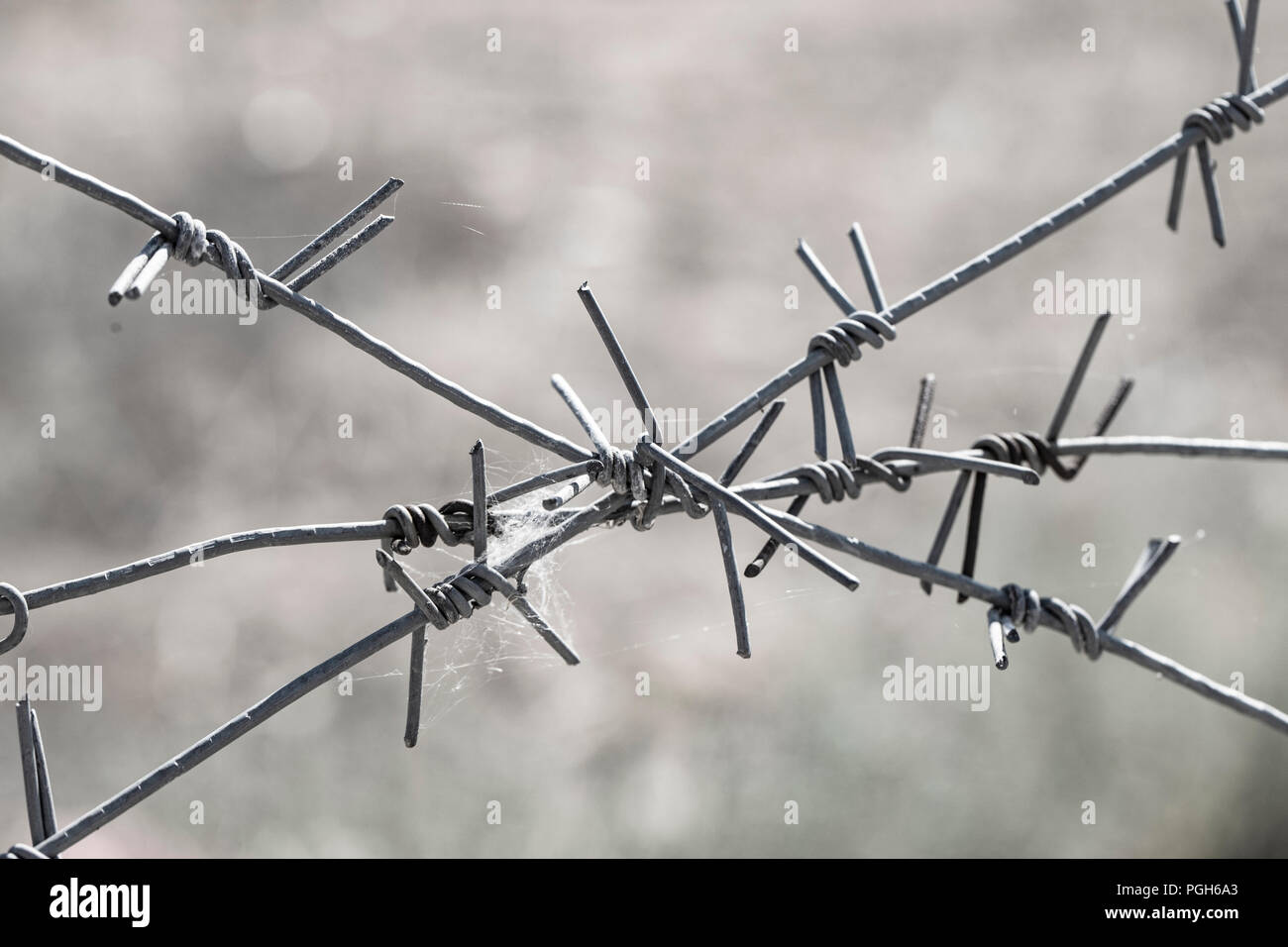 Barbed wire background hi-res stock photography and images - Alamy