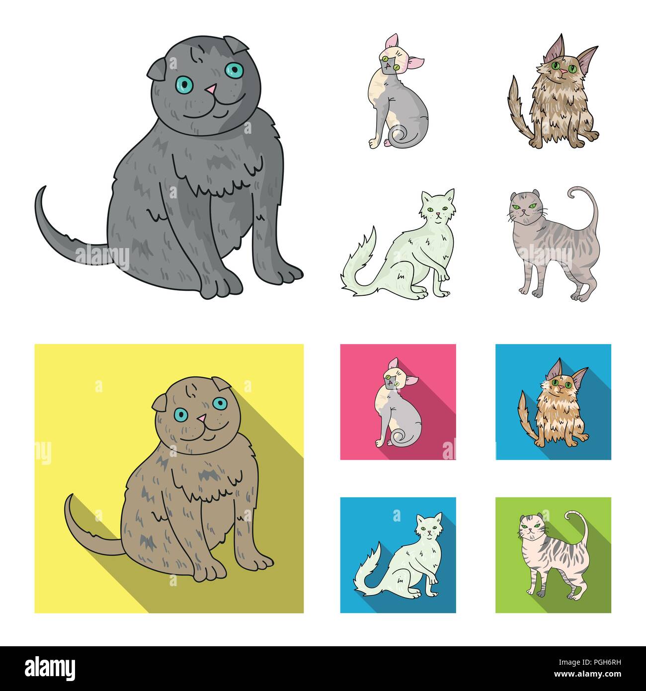 Turkish Angora, British longhair and other species. Cat breeds set ...