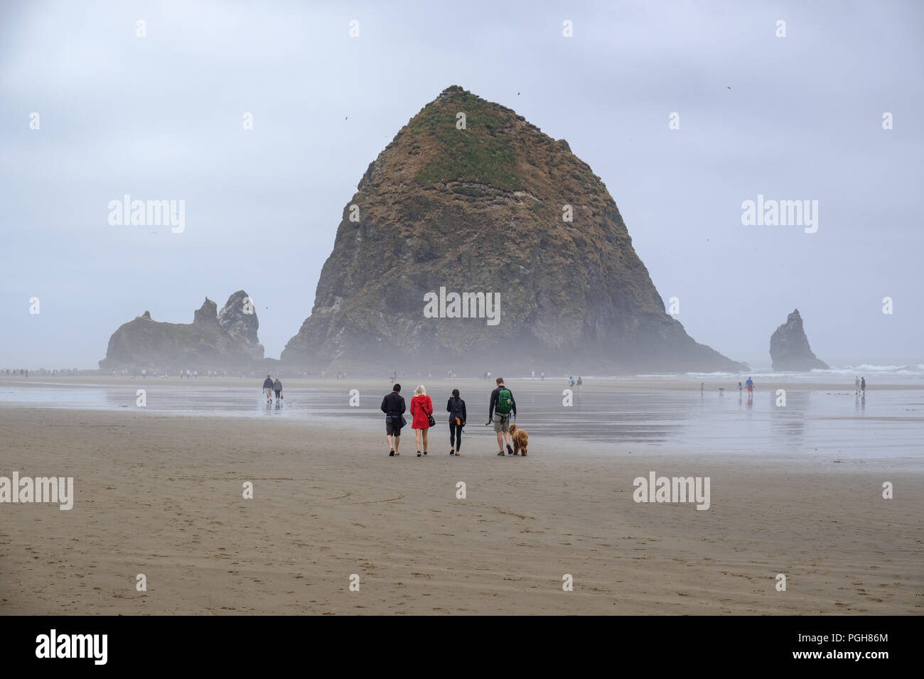 Haystack Rock on misty morning at Cannon Beach, Oregon, USA Stock Photo ...