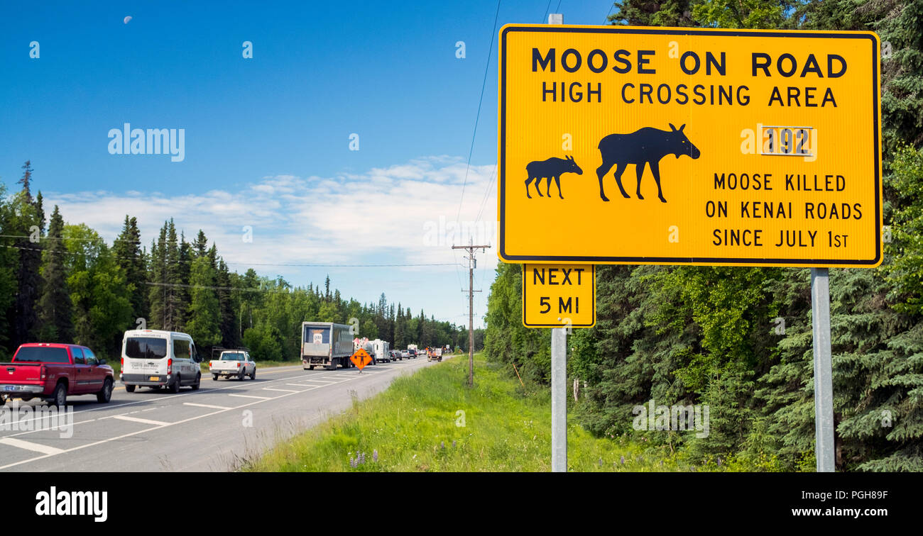 Moose and car hi-res stock photography and images - Alamy