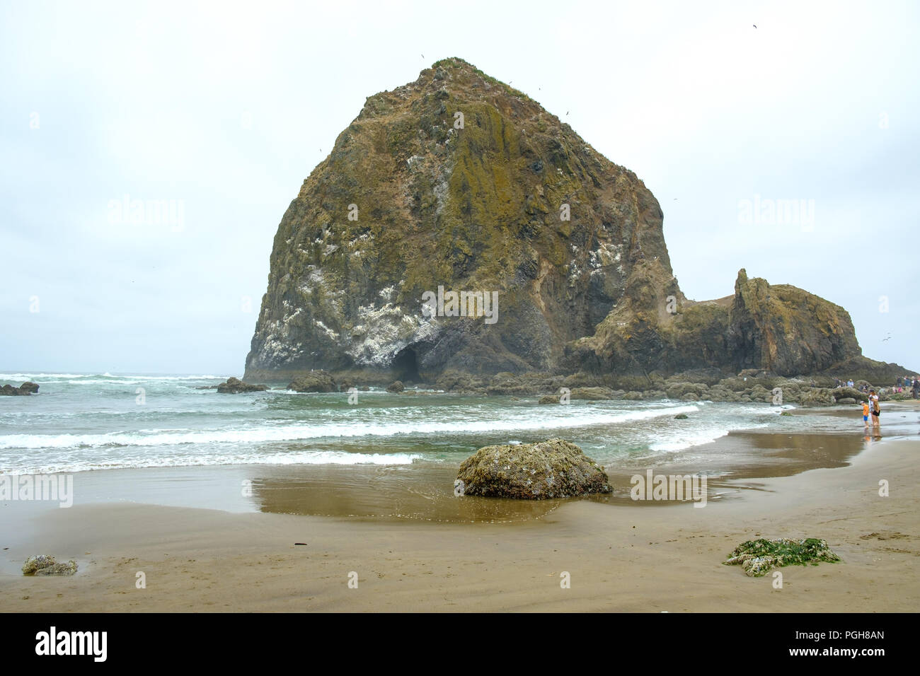 Oregon beach rocks hi-res stock photography and images - Alamy