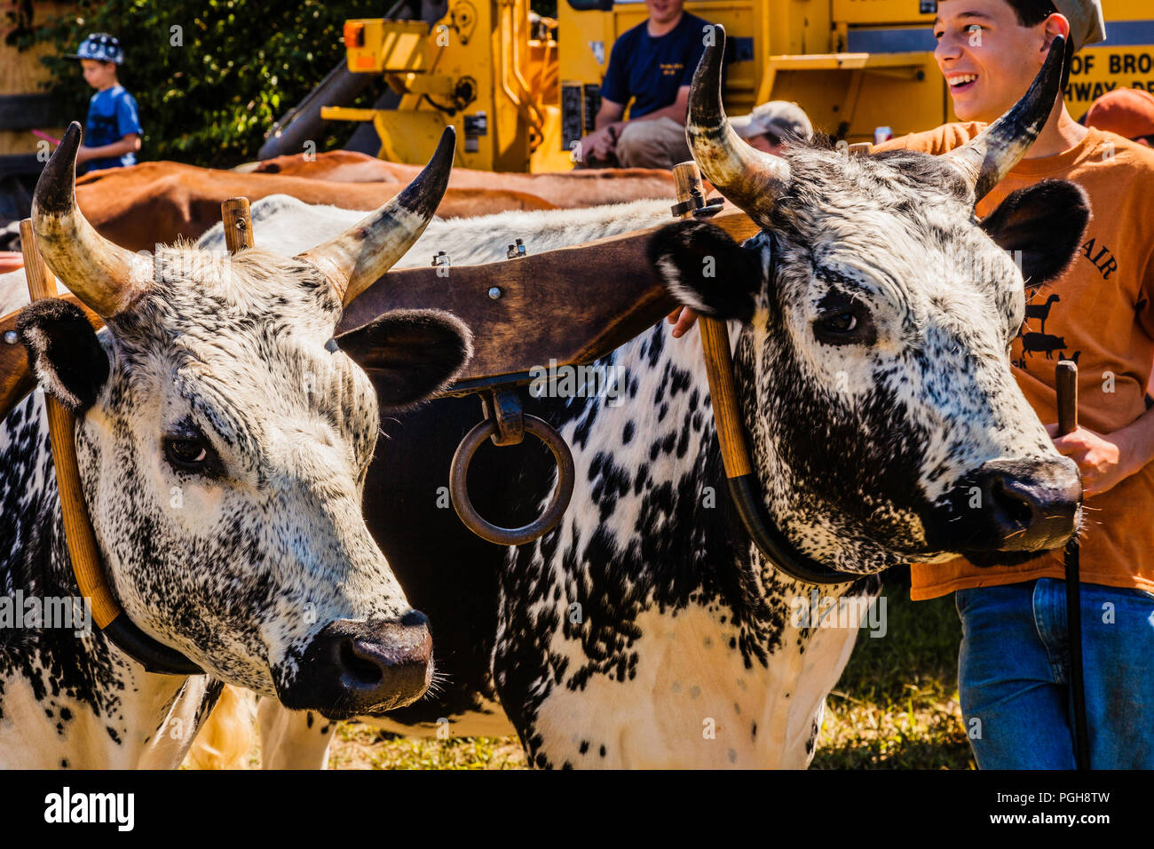 Brooklyn Fair Brooklyn, Connecticut, USA Stock Photo - Alamy