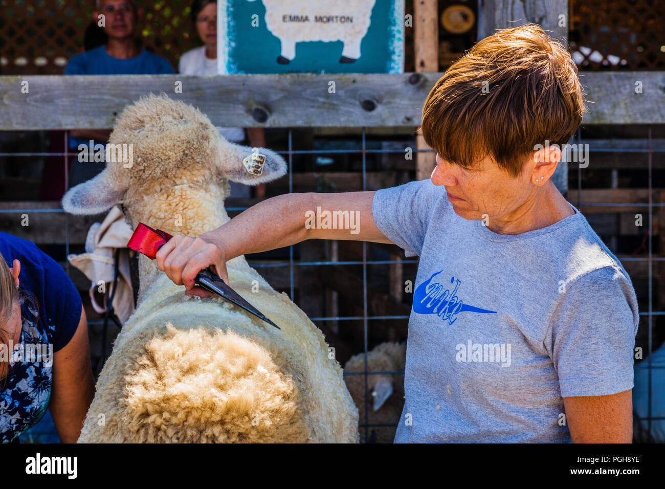 Brooklyn fair connecticut hi-res stock photography and images - Alamy