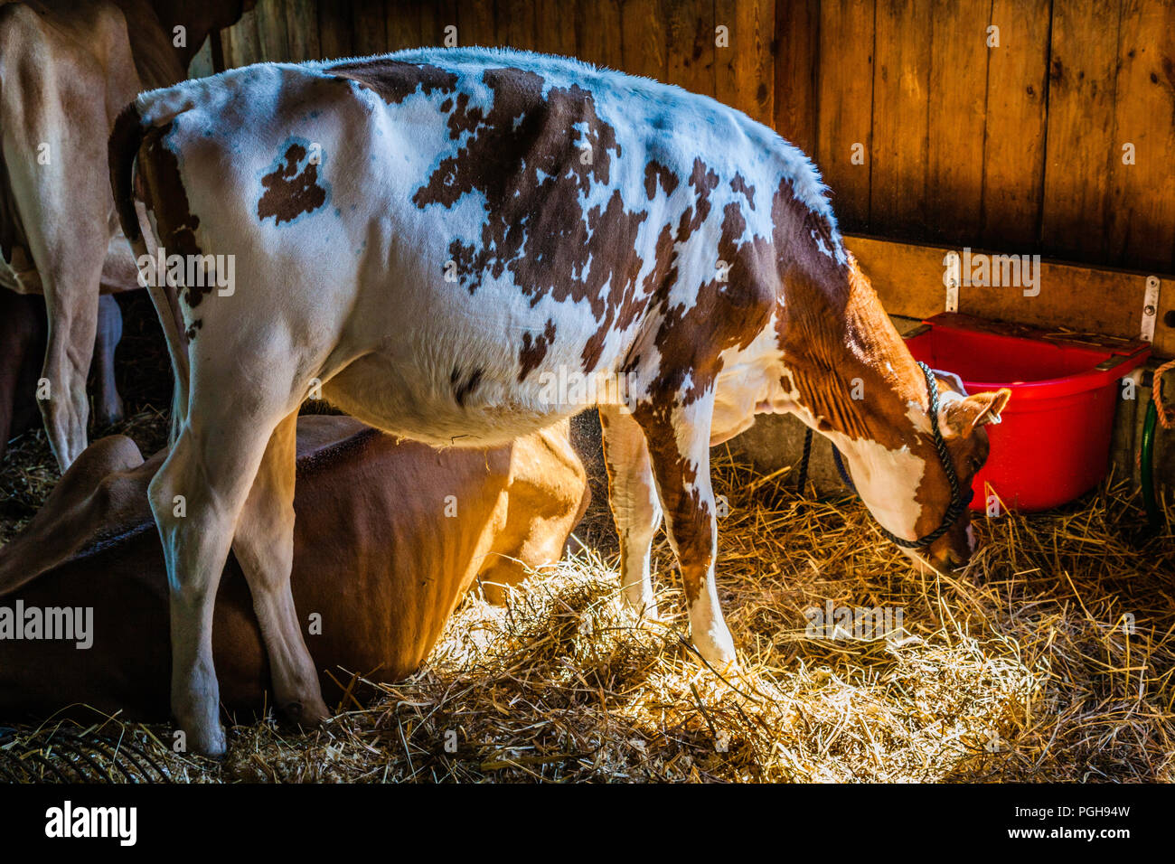 Brooklyn Fair Brooklyn, Connecticut, USA Stock Photo - Alamy