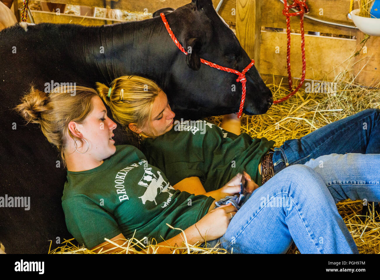 Brooklyn Fair Brooklyn, Connecticut, USA Stock Photo - Alamy