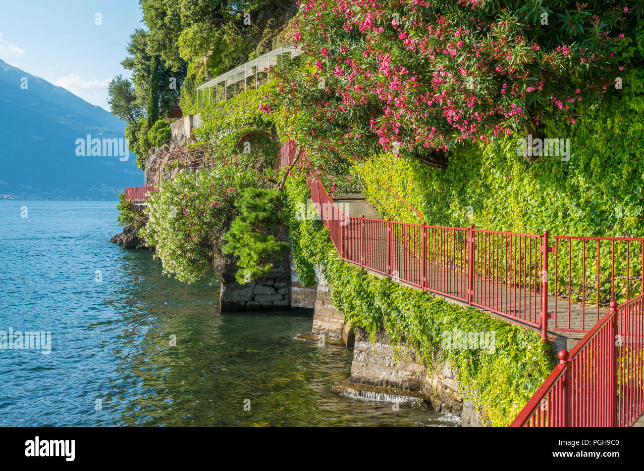The scenic "Walk of Lovers" in Varenna, Lake Como. Lombardy, Italy ...