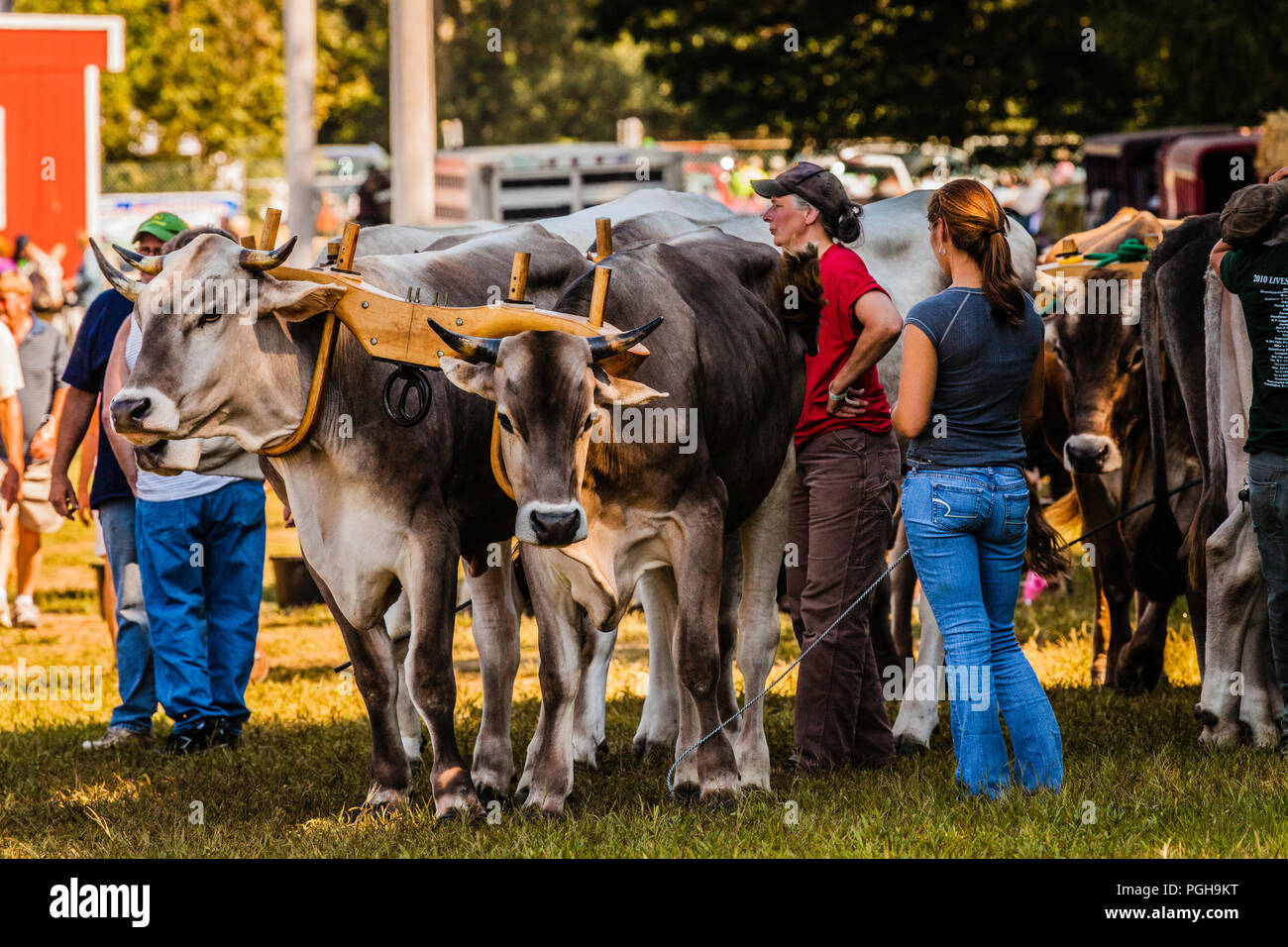 Brooklyn Fair Brooklyn, Connecticut, USA Stock Photo - Alamy