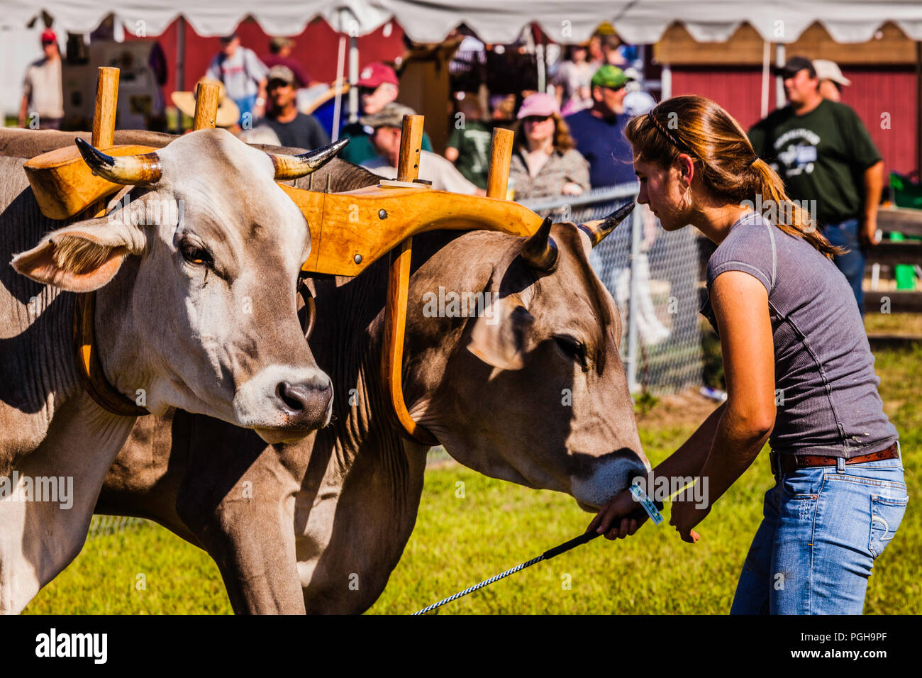 Brooklyn Fair Brooklyn, Connecticut, USA Stock Photo - Alamy