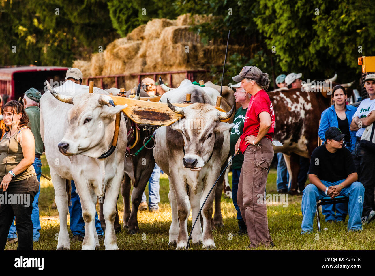 Brooklyn Fair Brooklyn, Connecticut, USA Stock Photo - Alamy